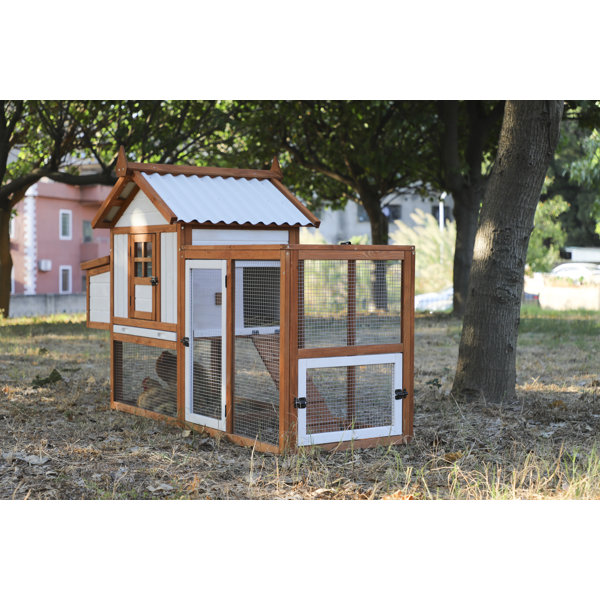 Tucker Murphy Pet™ Chahat Walk In Chicken Coop with Chicken Run ...