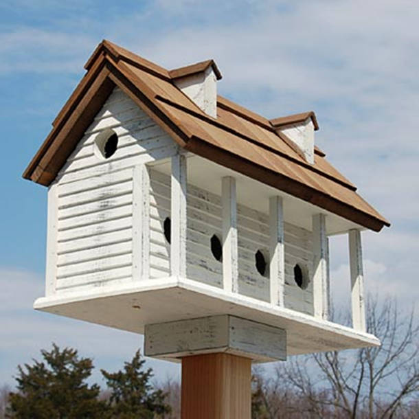 Home Bazaar Bird in Hand Bird Shack 13 in x 7 in x 7 in Birdhouse ...