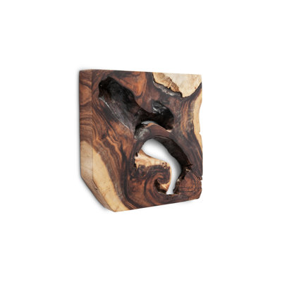 Phillips Collection Chamcha Wood Wall Décor & Reviews | Wayfair