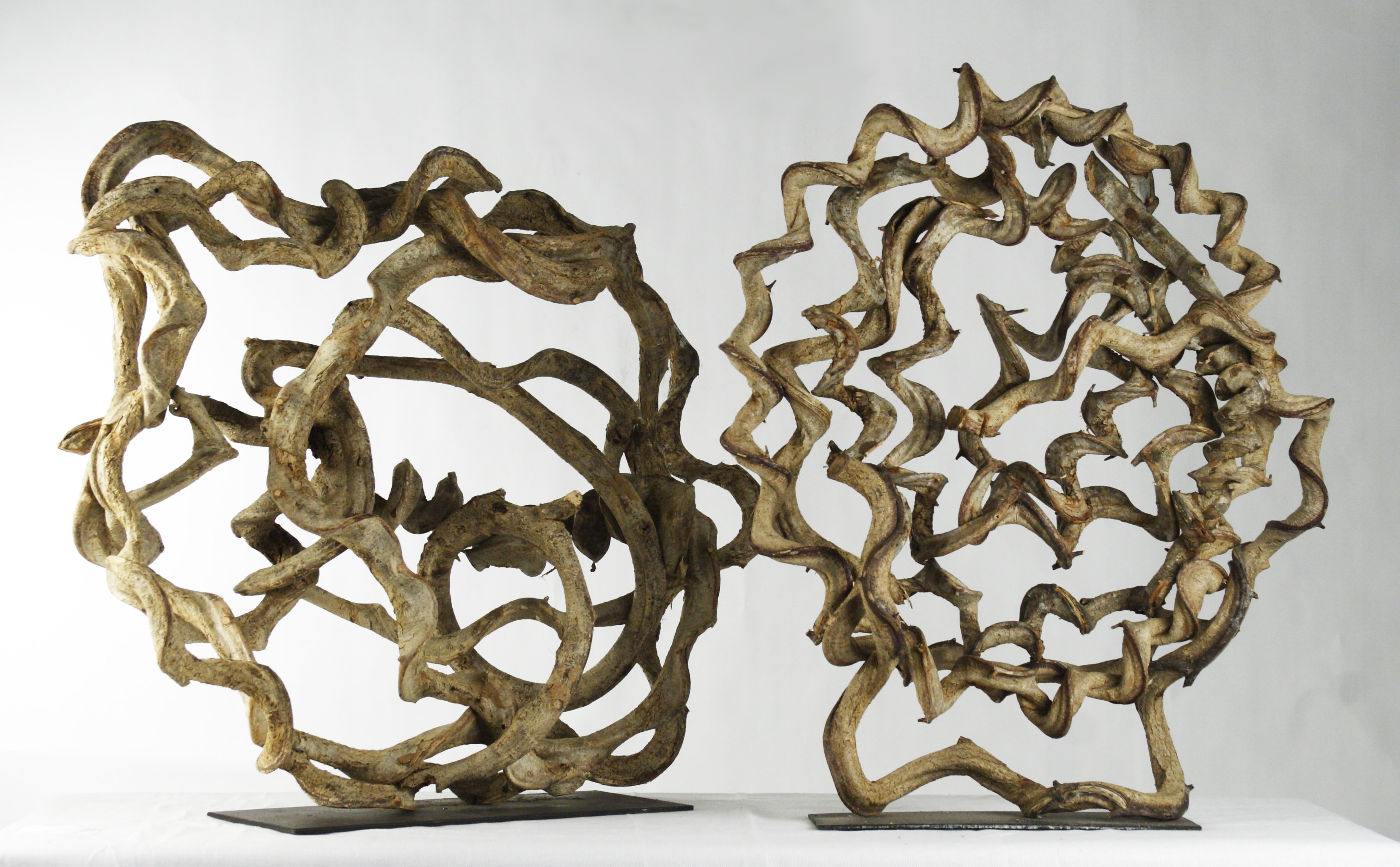 Zentique Round Vine Sculpture | Wayfair