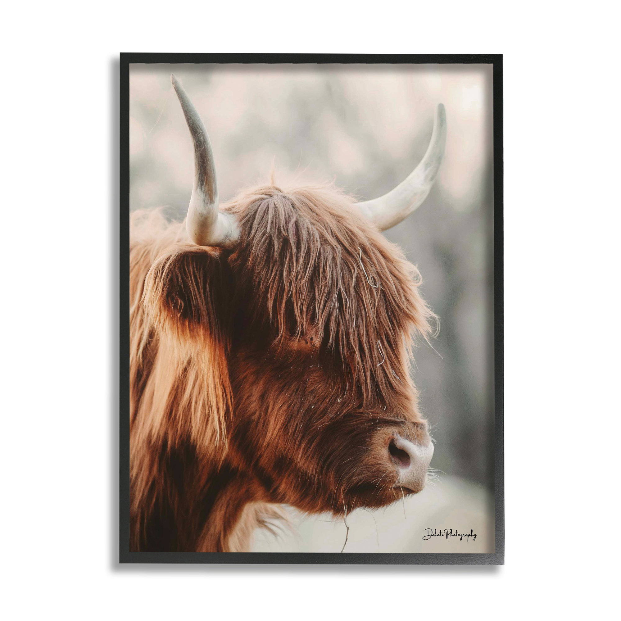 Stupell Industries Calm Highland Cow Cattle Portrait Horns Photography ...