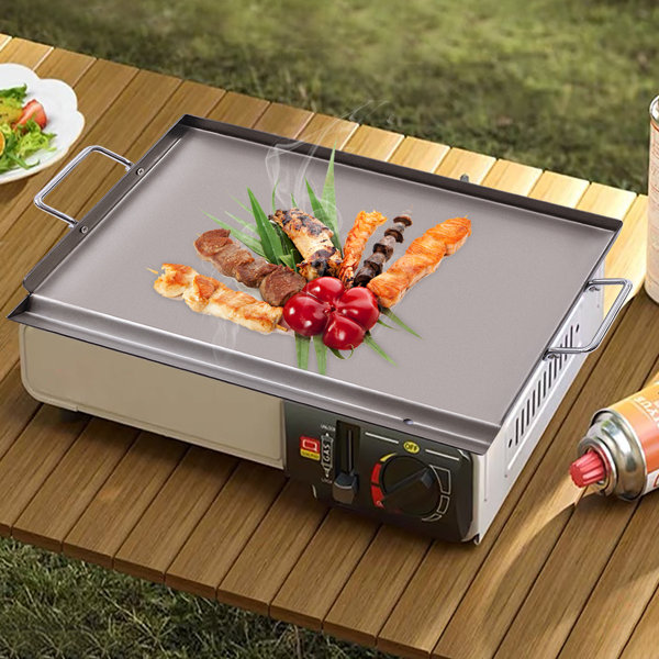 Seafood-tray-grill | Wayfair