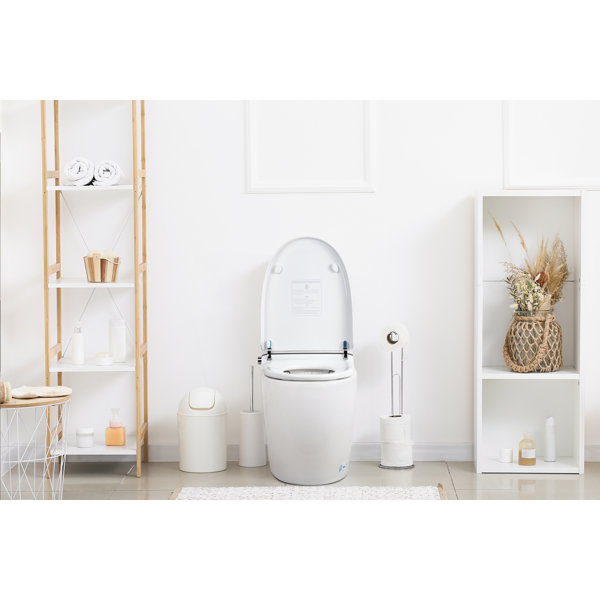 Euroto Newest Elongated Tankless Smart Toilet with Dual-Flush | Wayfair