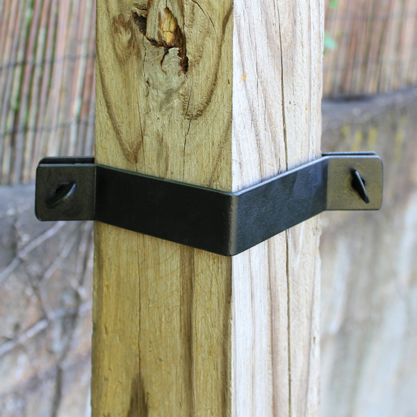 Symple Stuff Dameron Squirrel Deflector for 4 x 4 Post & Reviews | Wayfair