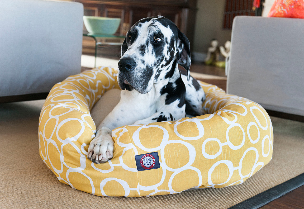 [BIG SALE] Playful Picks for Big Pups You’ll Love In 2023 | Wayfair