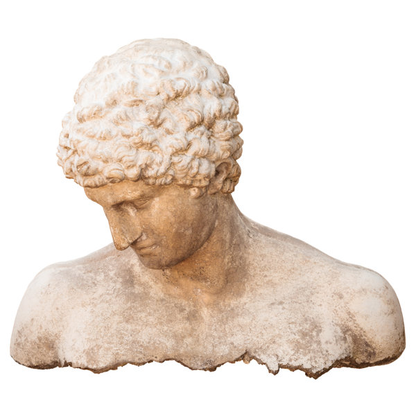 Wildon Home® Ancient Athlete Torso - Wrapped Canvas Graphic Art | Wayfair