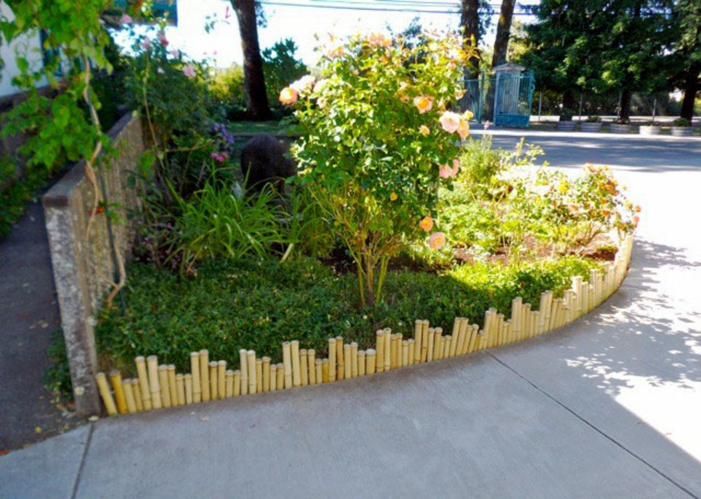 MGP 12 in. H x 6 ft. W Uneven Solid Edging & Reviews | Wayfair