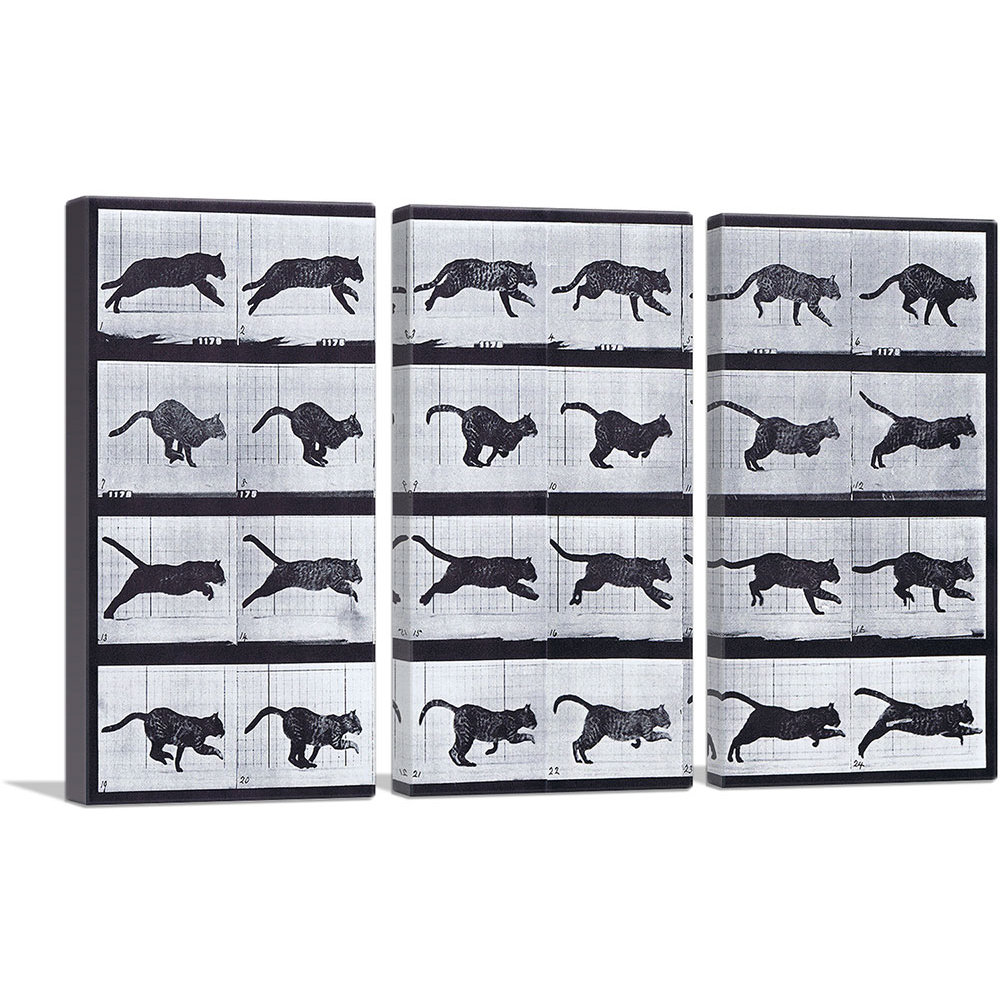 ARTCANVAS Cat Running by Eadweard Muybridge - 3 Piece Wrapped Canvas ...