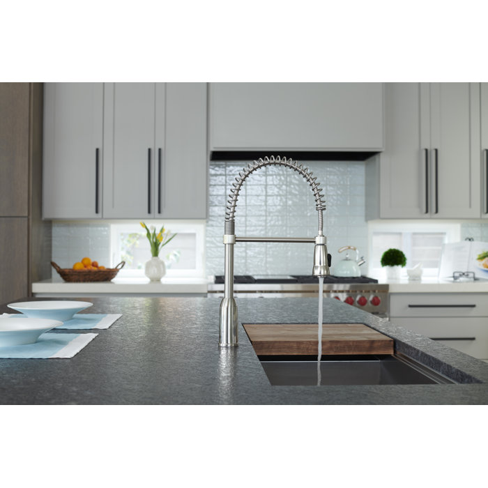 Pacific Bay Rainier Pull Down Kitchen Faucet & Reviews | Wayfair
