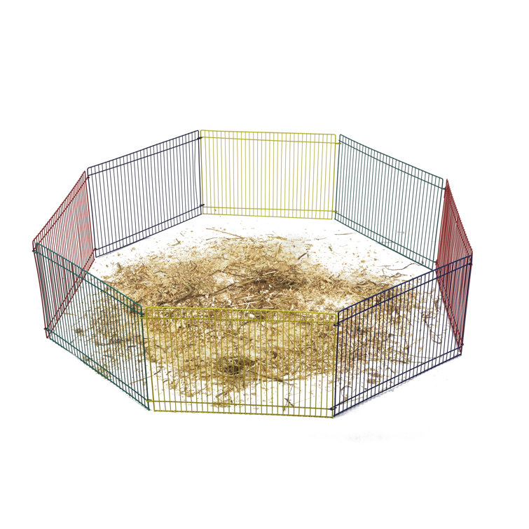 Archie & Oscar Anthonyville Weather Resistant Hamster/Gerbil Run ...