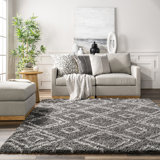 Wayfair | Shag Area Rugs You'll Love in 2023