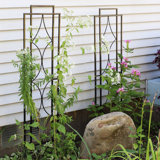 Trellis | Wayfair