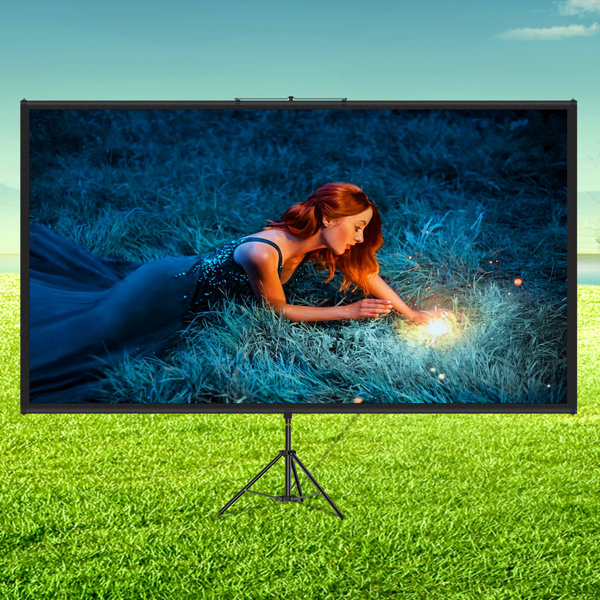 20-portable-screen | Wayfair