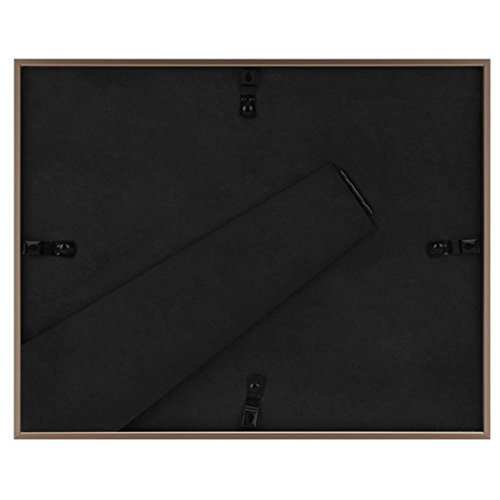 Three Posts™ Ayla Metal Picture Frame with Real Glass Hanging ...