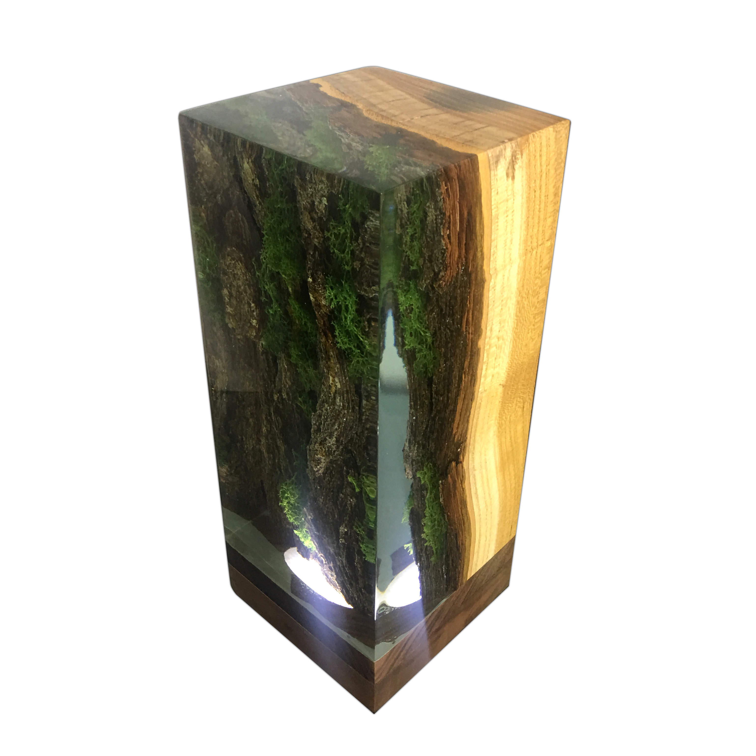 Arditi Collection Epoxy Lighting Sculpture | Wayfair