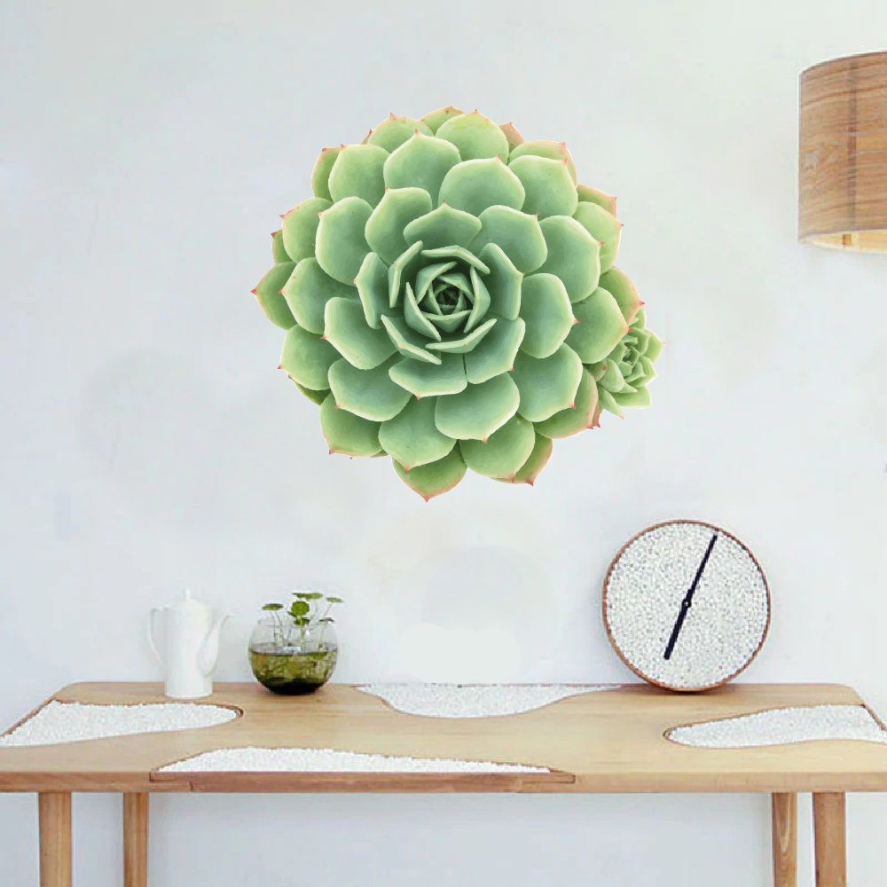 Dakota Fields Succulent Wall Decal | Wayfair
