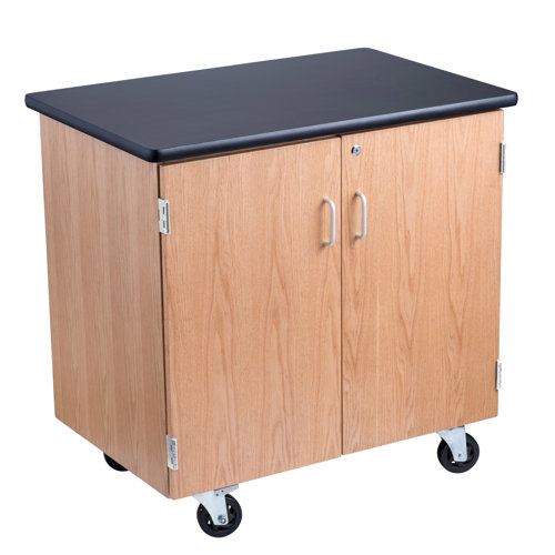 National Public Seating Mobile Science Lab Storage Cabinet Workstation ...