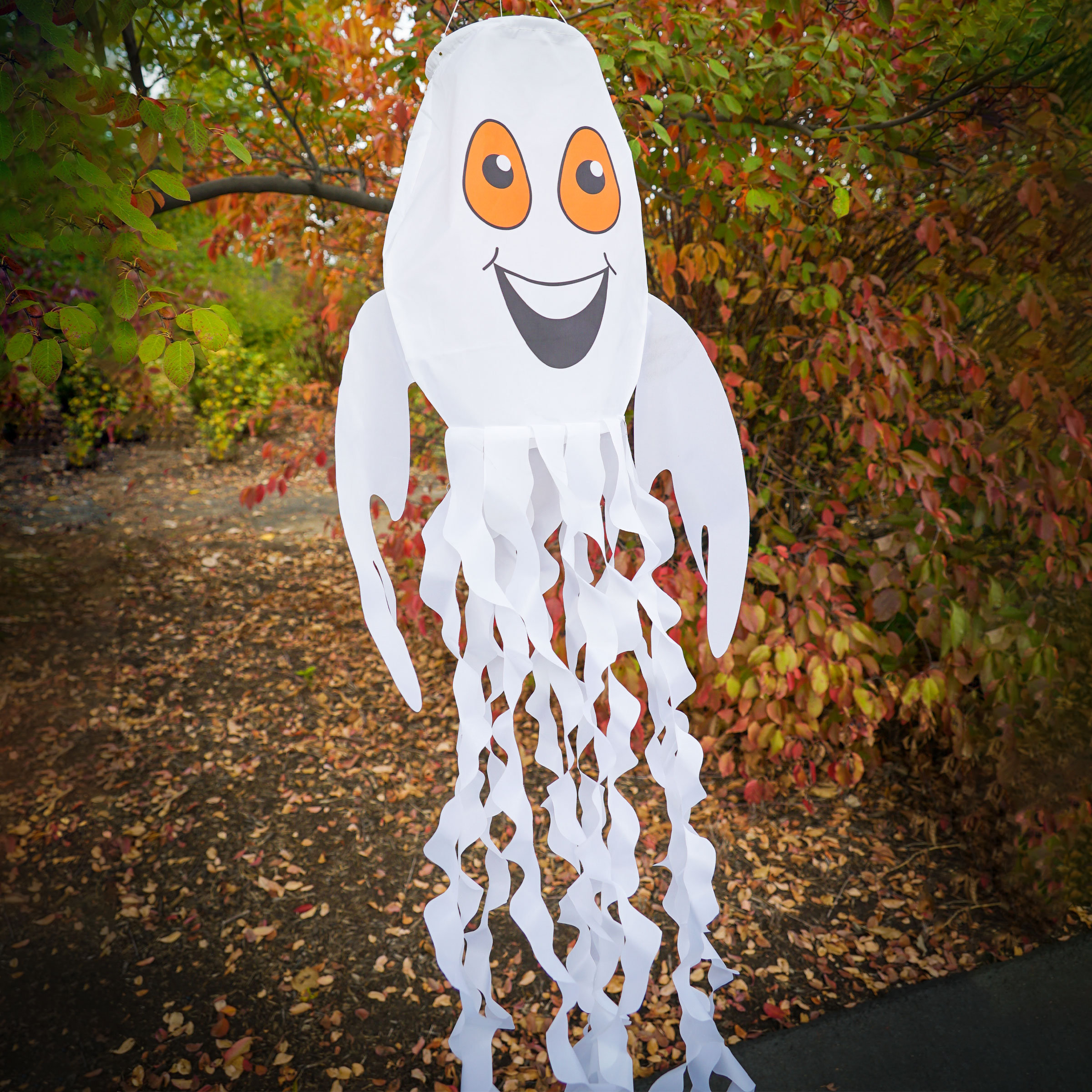 InTheBreeze Spook the Ghost 3D Windsock & Reviews | Wayfair