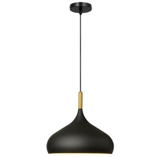 Black Pendant Lighting You'll Love | Wayfair.co.uk