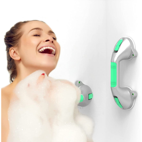AmeriLuck Suction Shower Grab Bar | Wayfair