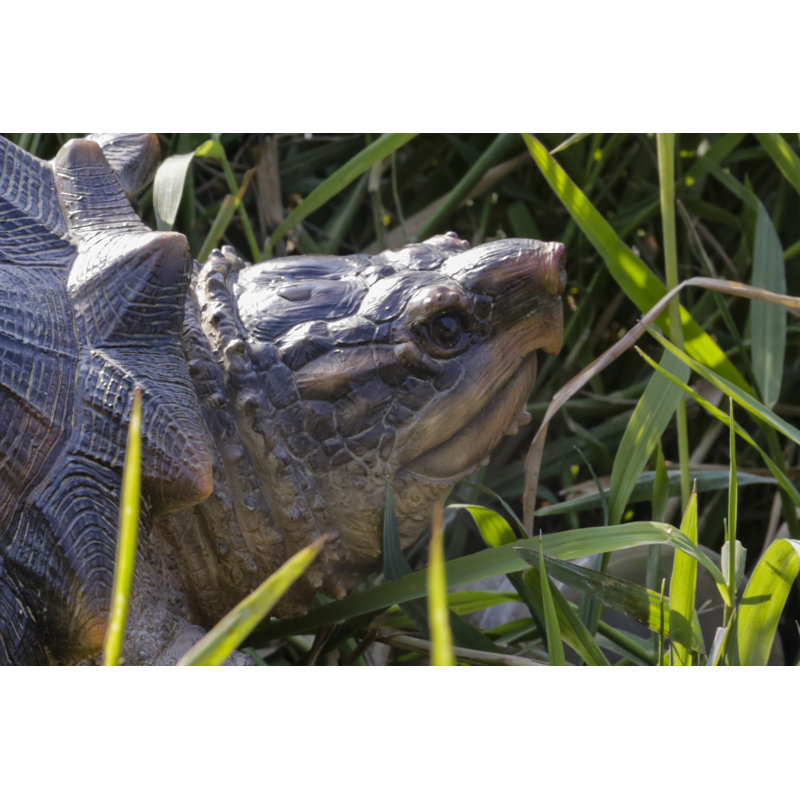 Hi-Line Gift Ltd. Snapping Turtle Statue | Wayfair