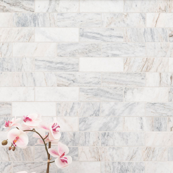 MSI Capri Blue 2" x 6" Subway Honed Marble Mosaic Tile | Wayfair