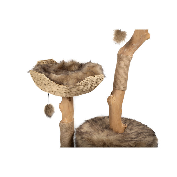 Tucker Murphy Pet™ 46" Seeman Double Branch Cento Cat Tree & Reviews ...