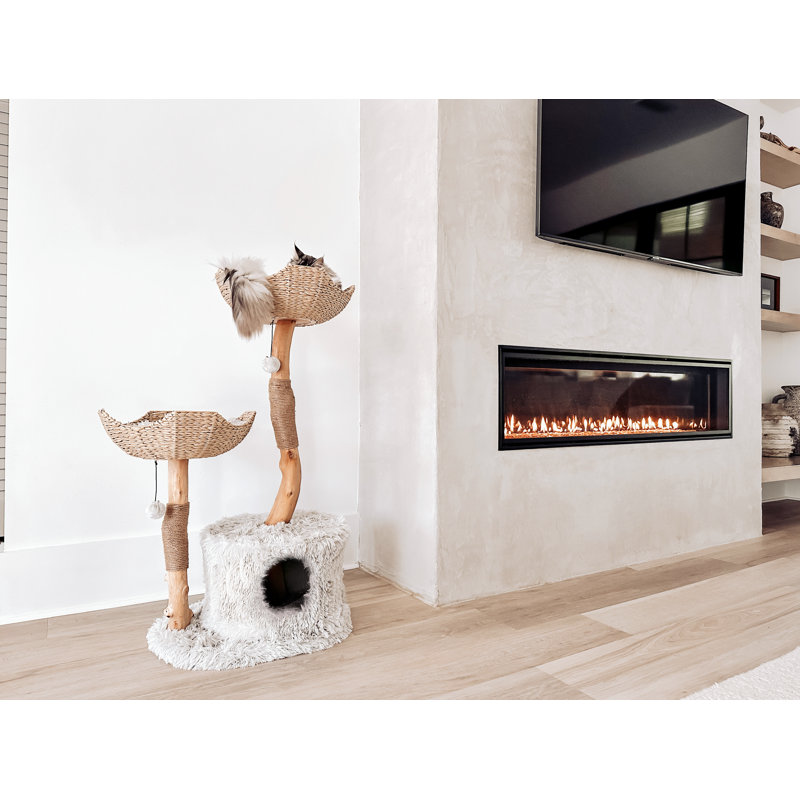 Tucker Murphy Pet™ 46" Seeman Double Branch Cento Cat Tree & Reviews ...