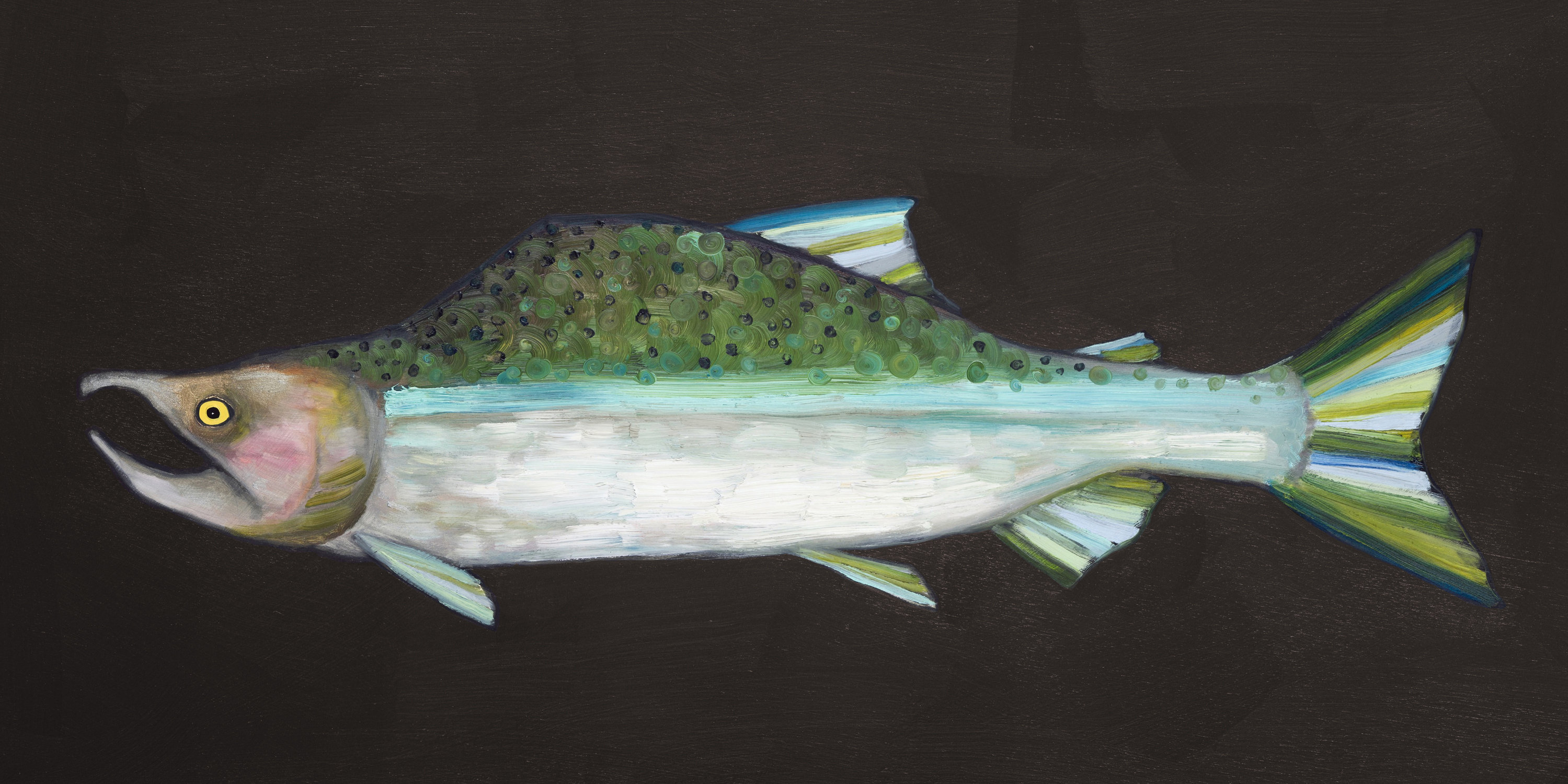 Millwood Pines Wild Salmon by Eli Halpin - Wrapped Canvas Painting ...