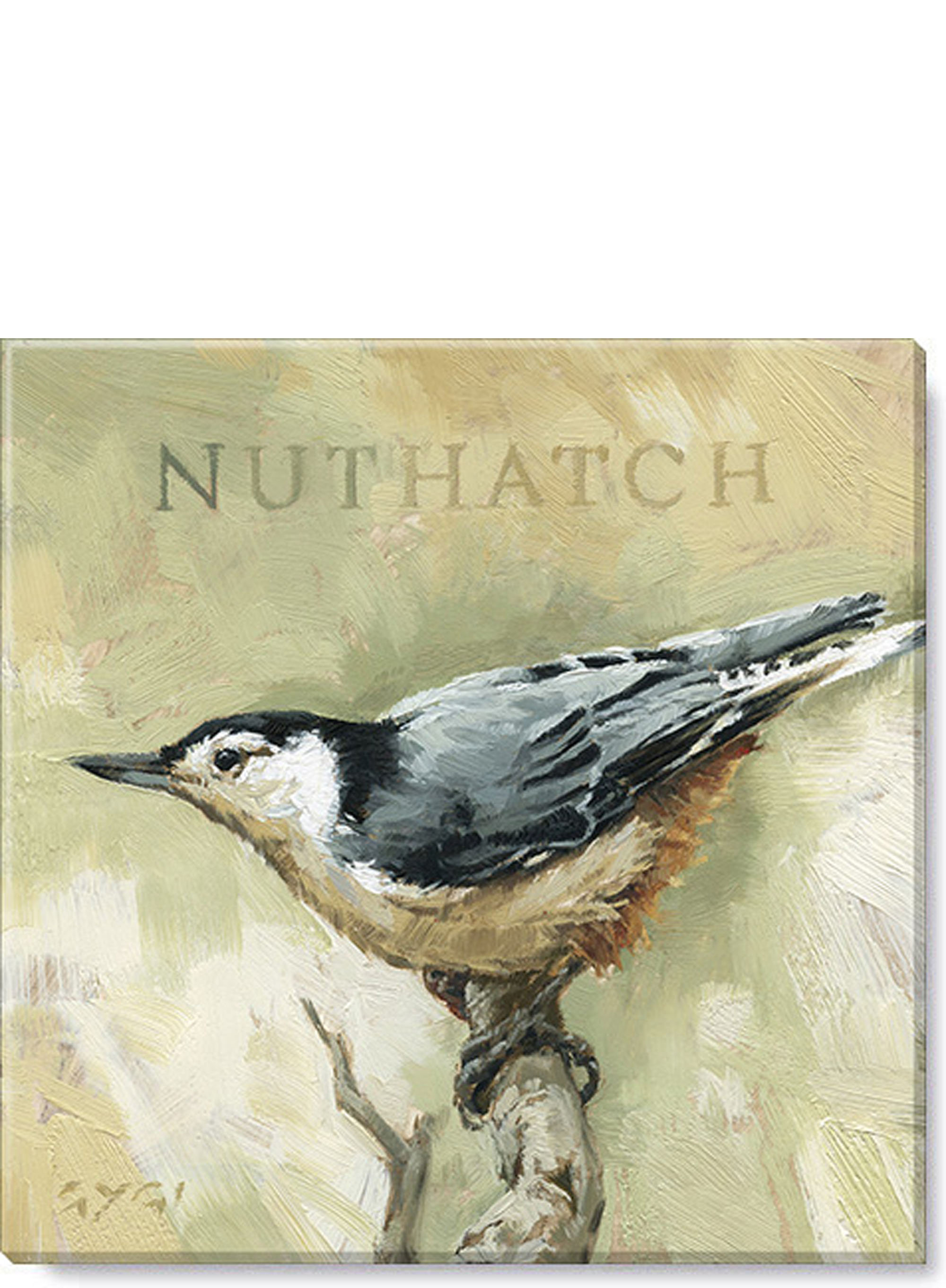 Darren Gygi Home Collection Nuthatch Giclee Wall Art On Canvas by ...