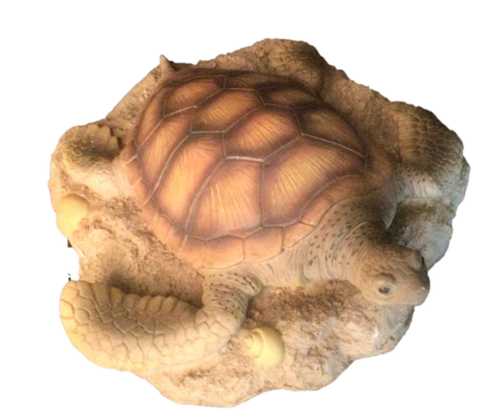 HomeStyles Life's a Beach Sea Turtle Coastal Stepping Stone & Reviews ...