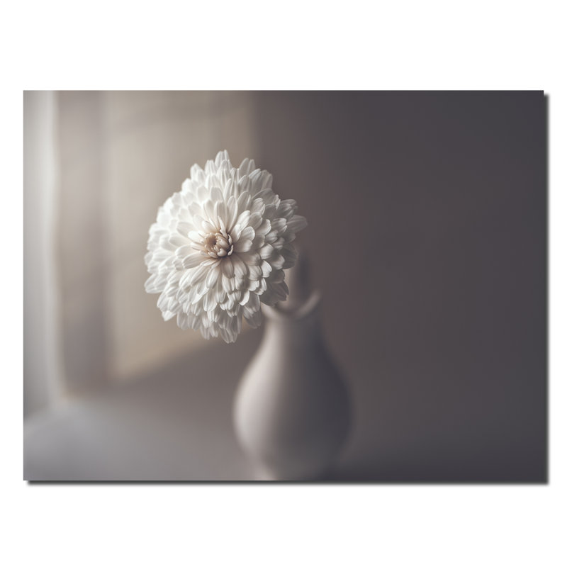 August Grove® Window Light - Unframed Graphic Art | Wayfair