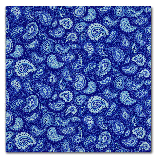 Paisley-decor | Wayfair