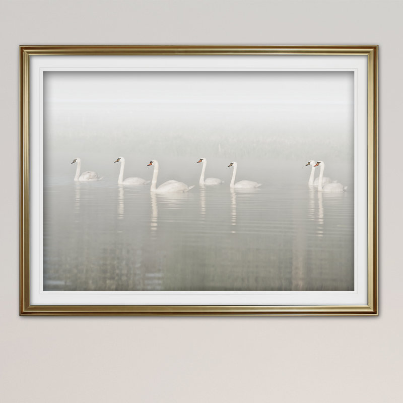 Charlton Home® Seven Swans - Picture Frame Print | Wayfair