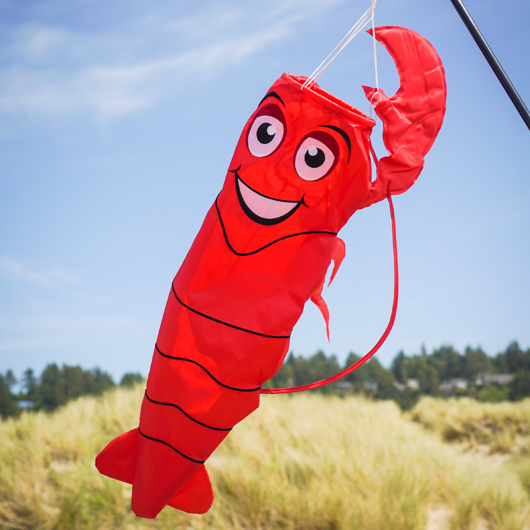 InTheBreeze Lobster 3D Windsock | Wayfair