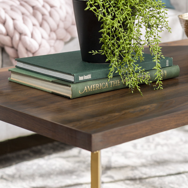 Zipcode Design Allie Frame Coffee Table & Reviews | Wayfair.co.uk