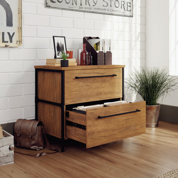 Williston Forge Stedman 2-Drawer Lateral Filing Cabinet & Reviews | Wayfair