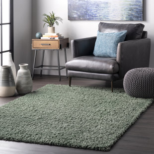 Shag Area Rugs You'll Love in 2022 - Wayfair Canada
