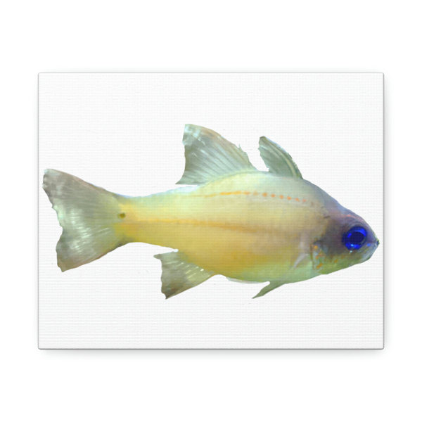 Marick Booster Fish - Wrapped Canvas Rectangle Illustration | Wayfair