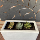 Modinex 3 ft. x 6 ft. Wall Composite Privacy Screen & Reviews | Wayfair