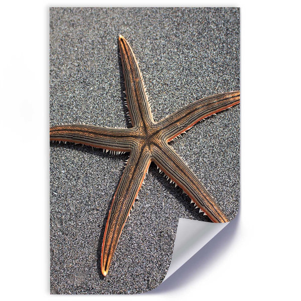 House of Hampton Poster, Starfish On The Seashore | Wayfair.co.uk
