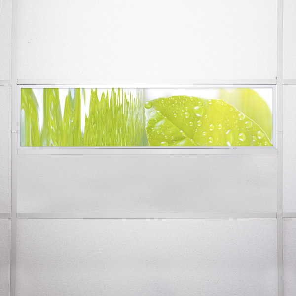 Octo Lights Trees Flexible Decorative Light Cover | Wayfair