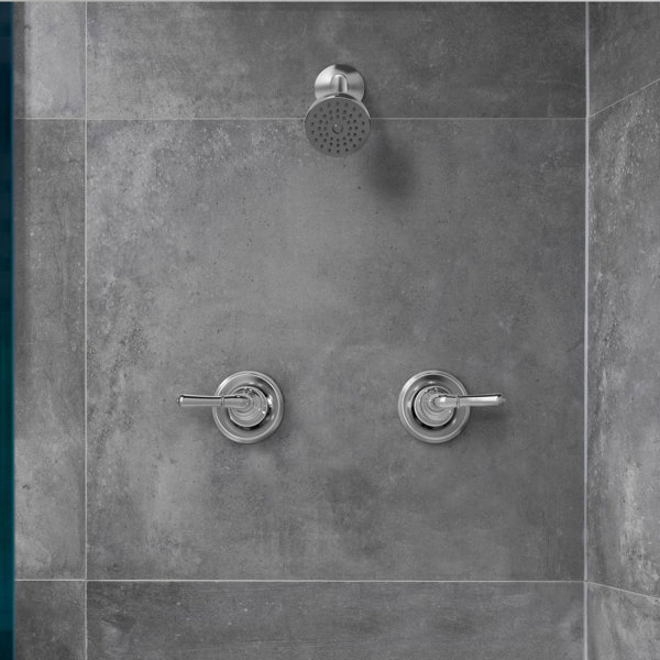 Double-handle-shower | Wayfair