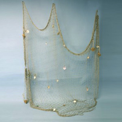 Breakwater Bay 5X10 ative Fish Netting with Sea Shells Wall Décor ...