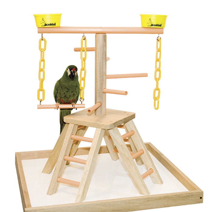 Featherland/Paradise 22'' Wood Bird Play Gym for Table Top & Reviews ...