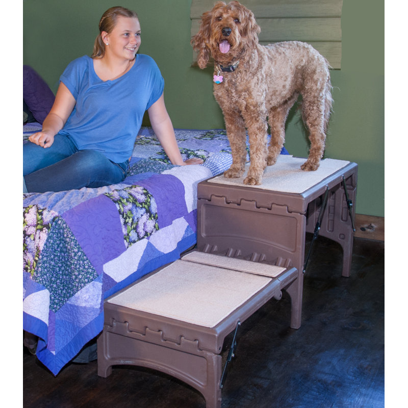 Pet Gear Free Standing Foldable 2 Step Pet Stair & Reviews | Wayfair