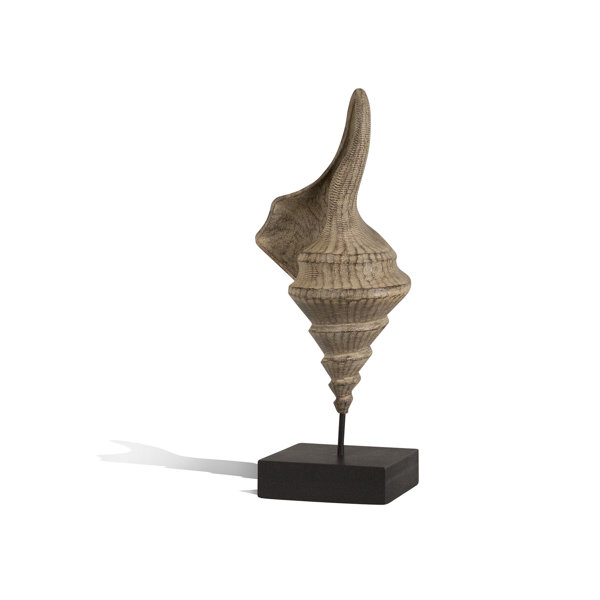 Ibolili Wood Ammonite Shell on Stand | Wayfair