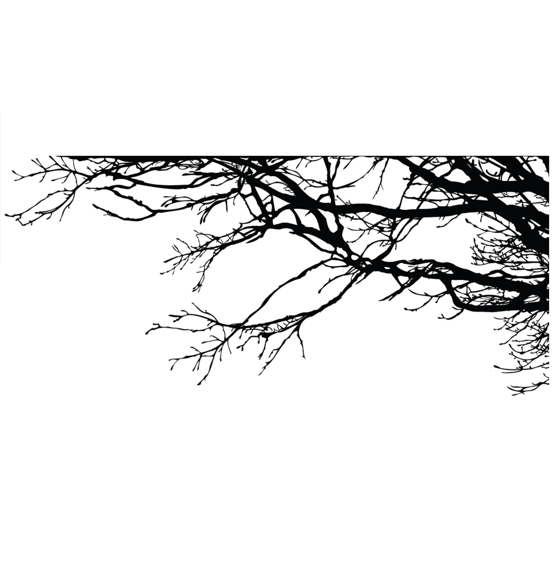 Loon Peak® Tree Top Branches Wall Decal & Reviews | Wayfair