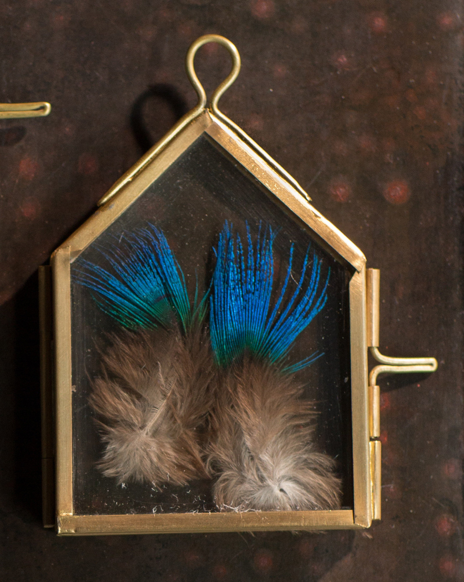 Charlton Home® Woodville Small Home Hanging Loops Picture Frame | Wayfair