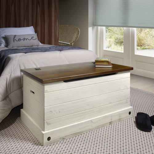 Gracie Oaks Danele Blanket Chest & Reviews | Wayfair